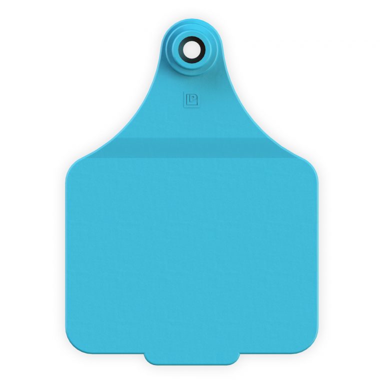 Leader Products Maxi (Size 4 Short) - Female • NLIS Ear Tags