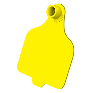 Extended Female Drovers • Ear Tags Images