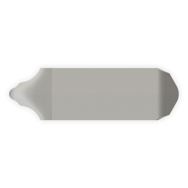 Leader Sheep Tag • NLIS Ear Tags