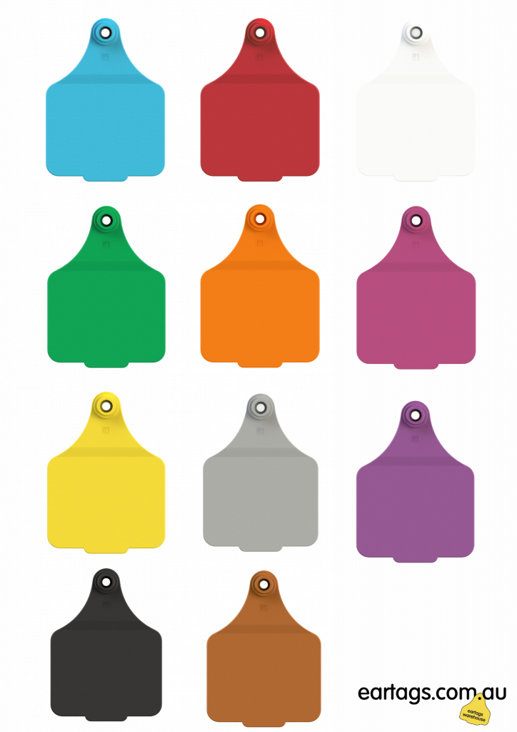 Leader Products Maxi (Size 4 Short) - Female • NLIS Ear Tags