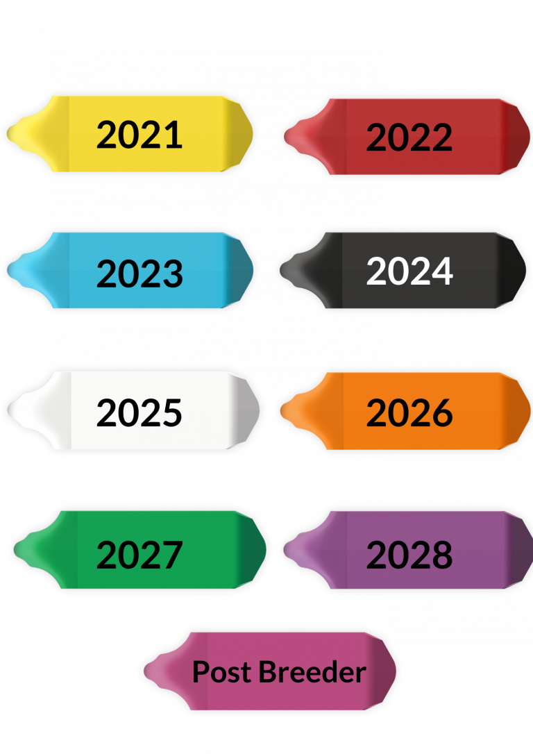 Leader Sheep Tag • NLIS Ear Tags