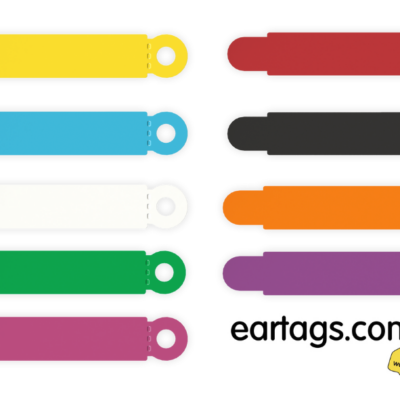 Type Archives • Bulk Ear Tags