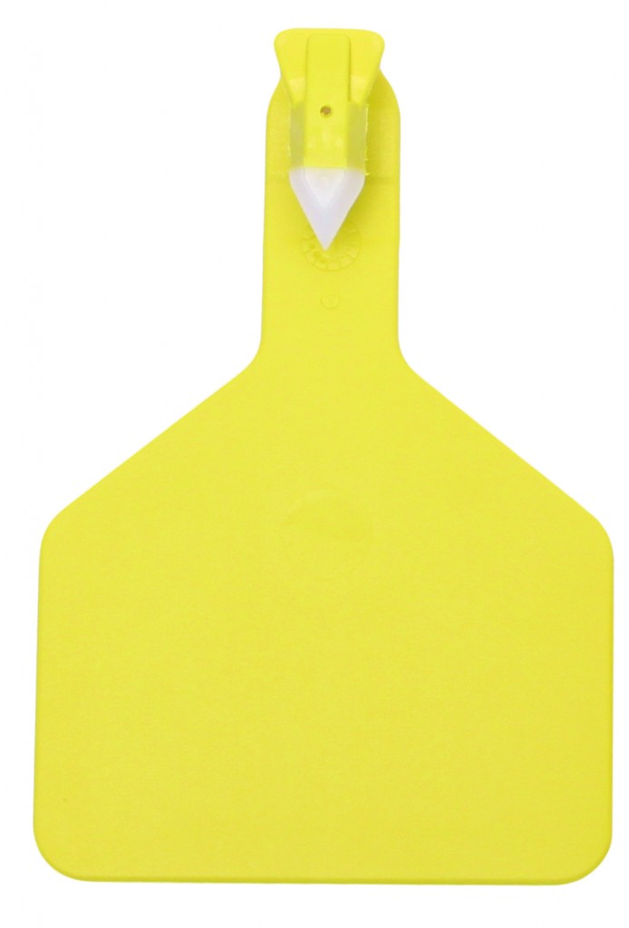 Z1 no snag Tags Extra Large • NLIS Ear Tags