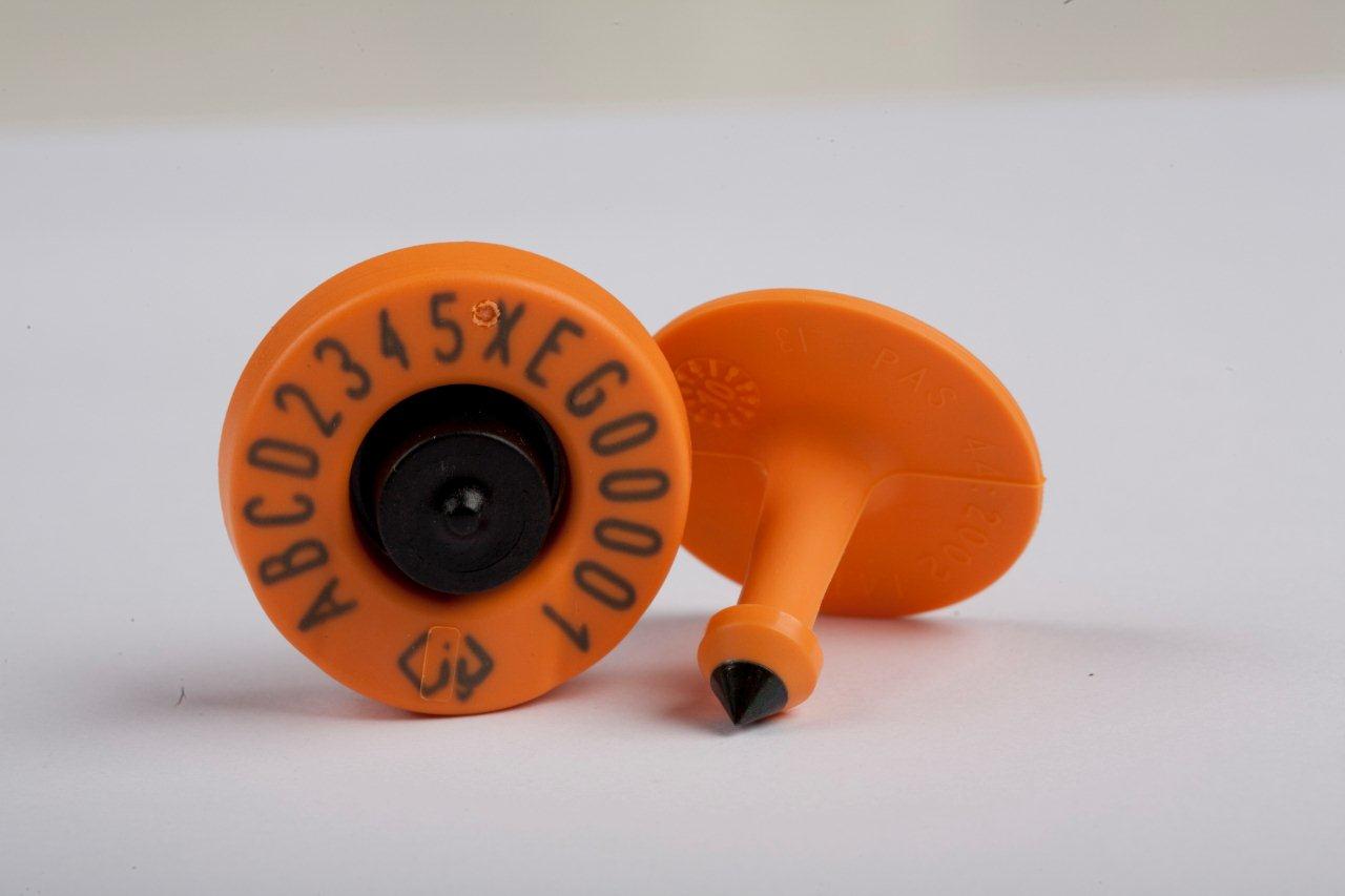 Orange Post Breeder • Ear Tags Images