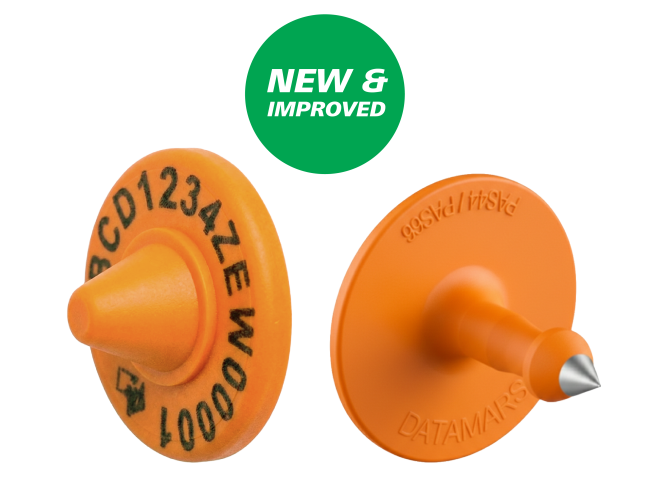 Z Tag NLIS Cattle Tag - New & Improved • NLIS Ear Tags